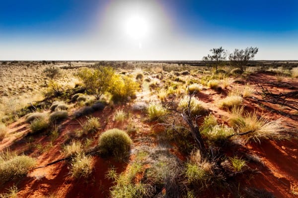 How we can learn from Indigenous land care - Utility Magazine