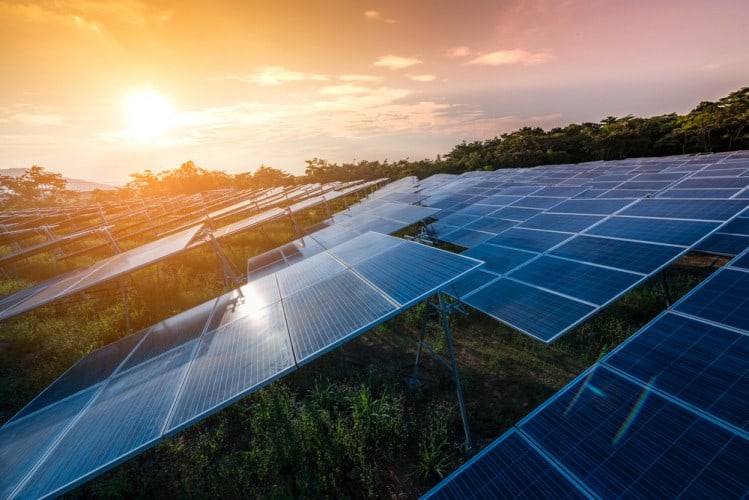 Darling Downs Solar Farm officially opens - Utility Magazine