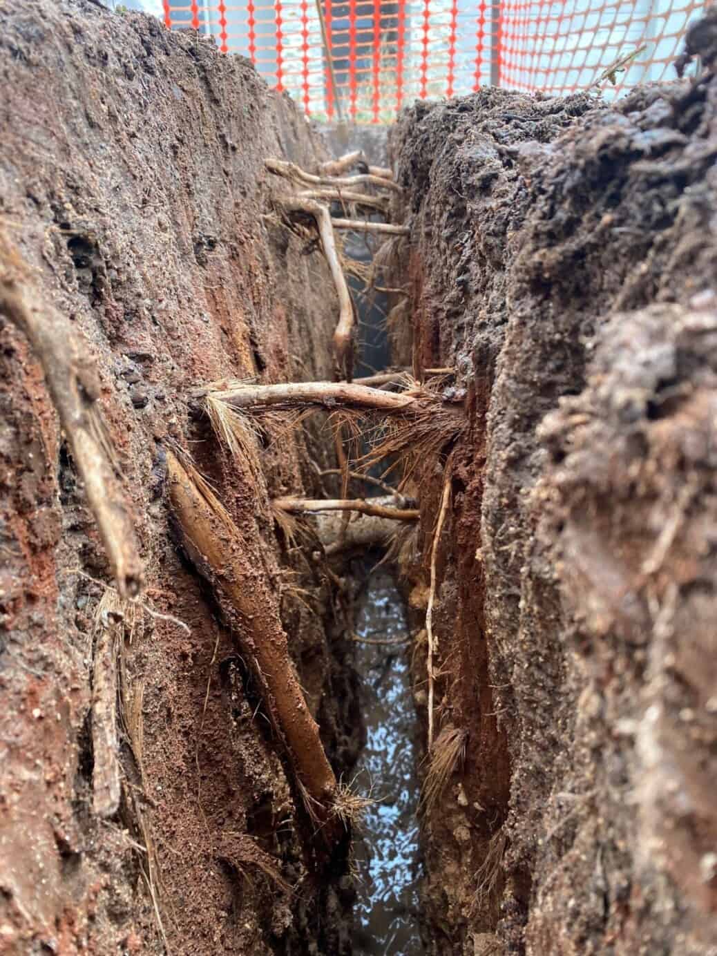 SA Water’s innovative trial to protect sewers from tree roots - Utility ...