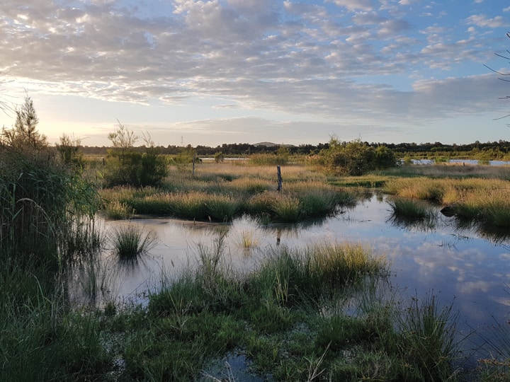Unitywater CEO Anna Jackson on creating a sustainable utility - Utility ...