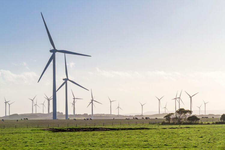 Federal Government Welcomes Renewable Energy Storage Roadmap Utility