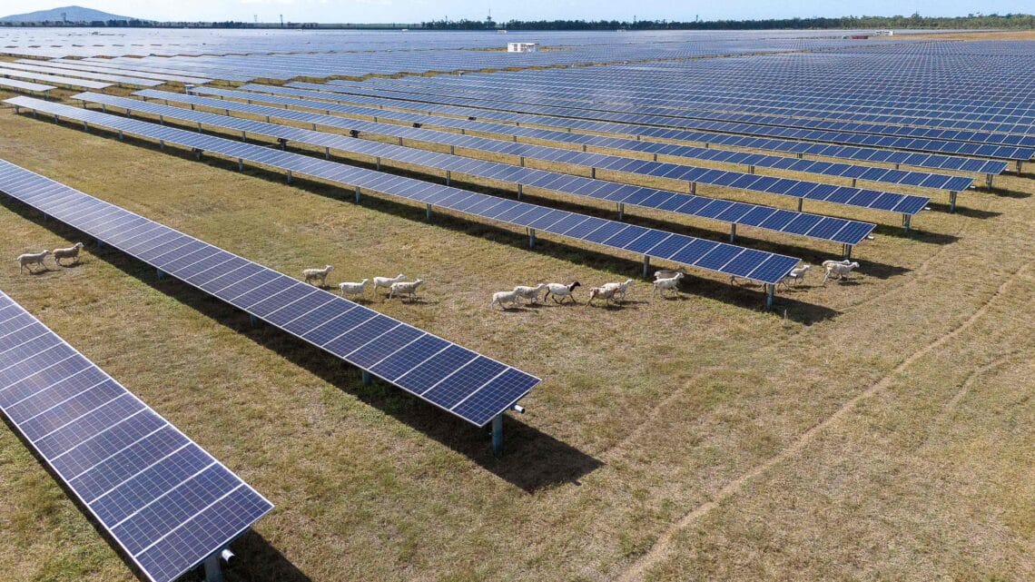 Green light for Burkedin solar project - Utility Magazine