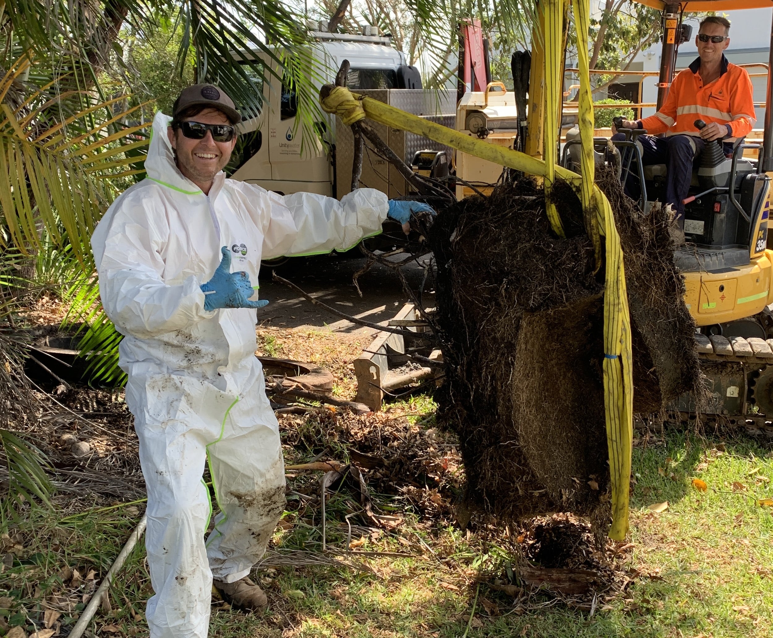 Tree roots single largest culprit of Unitywater pipe blockages ...