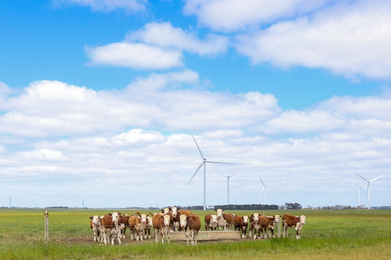 Amazon Australia signs nine new renewable energy deals - Utility Magazine