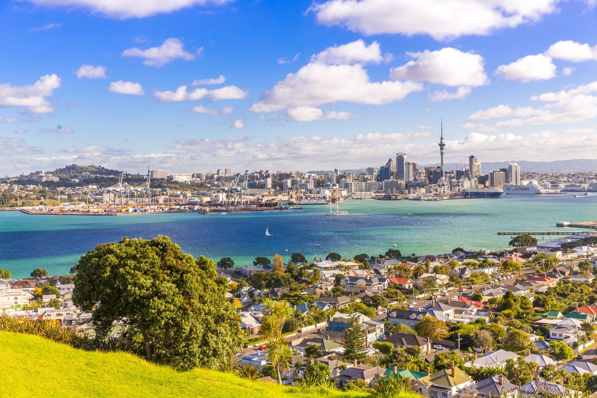 Engineering New Zealand joins International No-Dig Auckland as Industry ...